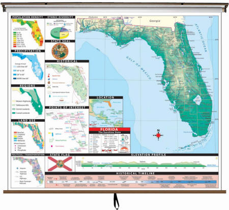 Florida Wall Maps (Free Shipping)